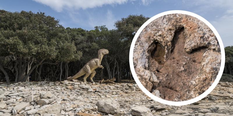 Fosili dinosaura i njihova nalazišta proglašena zaštićenim dijelom ...
